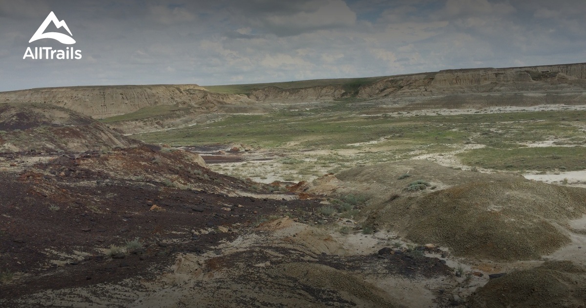 Best hikes and trails in Avonlea | AllTrails