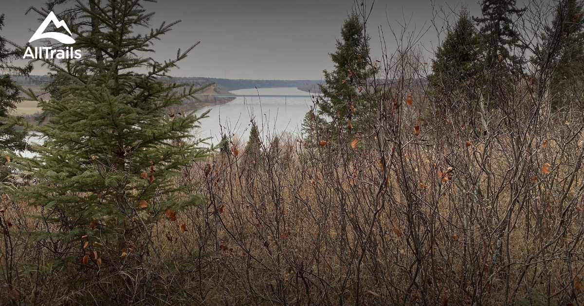 Best hikes and trails in Martensville | AllTrails