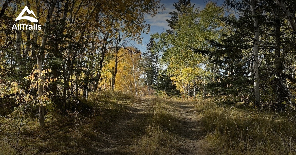 Best hikes and trails in One Arrow | AllTrails