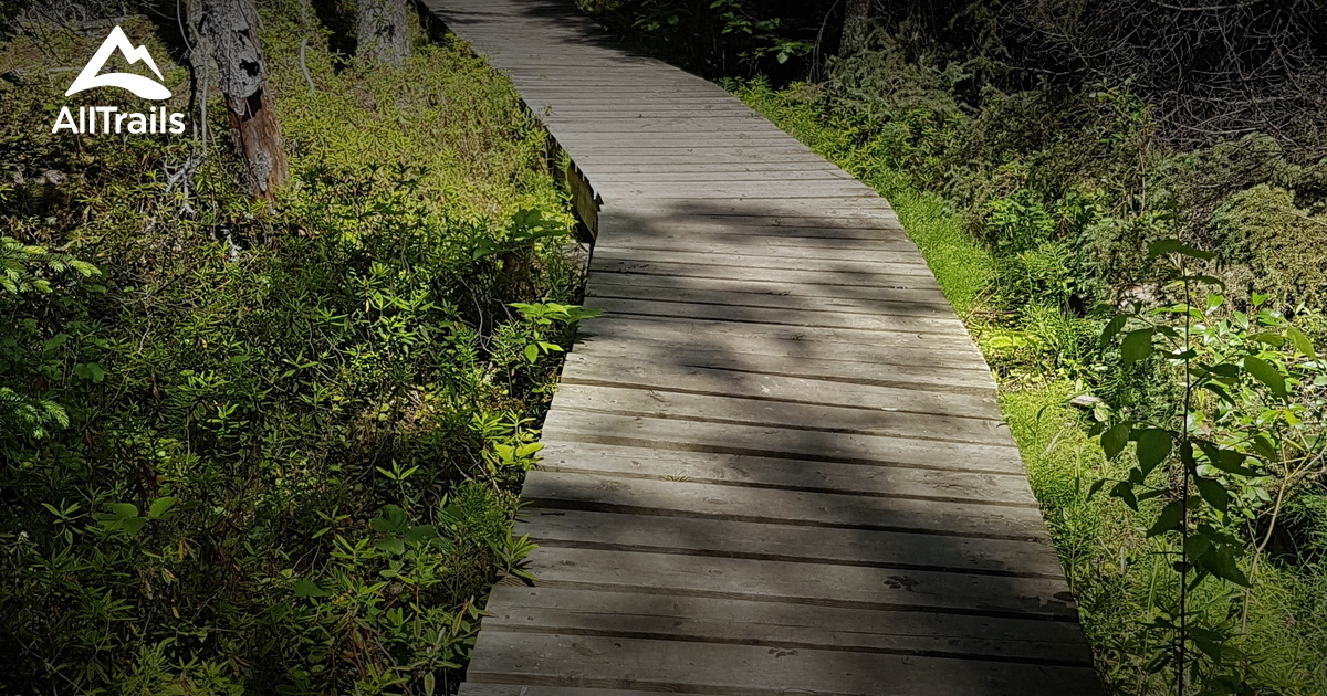 Best wildflower trails in Prince Albert | AllTrails