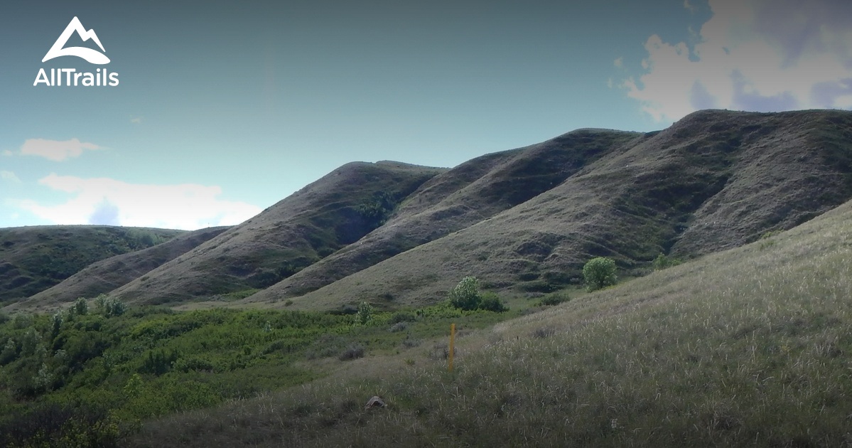 Best hikes and trails in Saskatchewan Landing Provincial Park | AllTrails