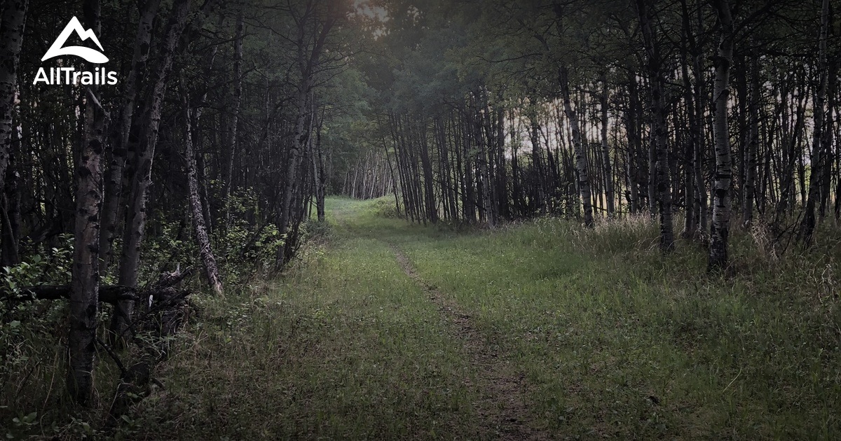 10 Best trails and hikes in White Butte Trails Recreation Site | AllTrails