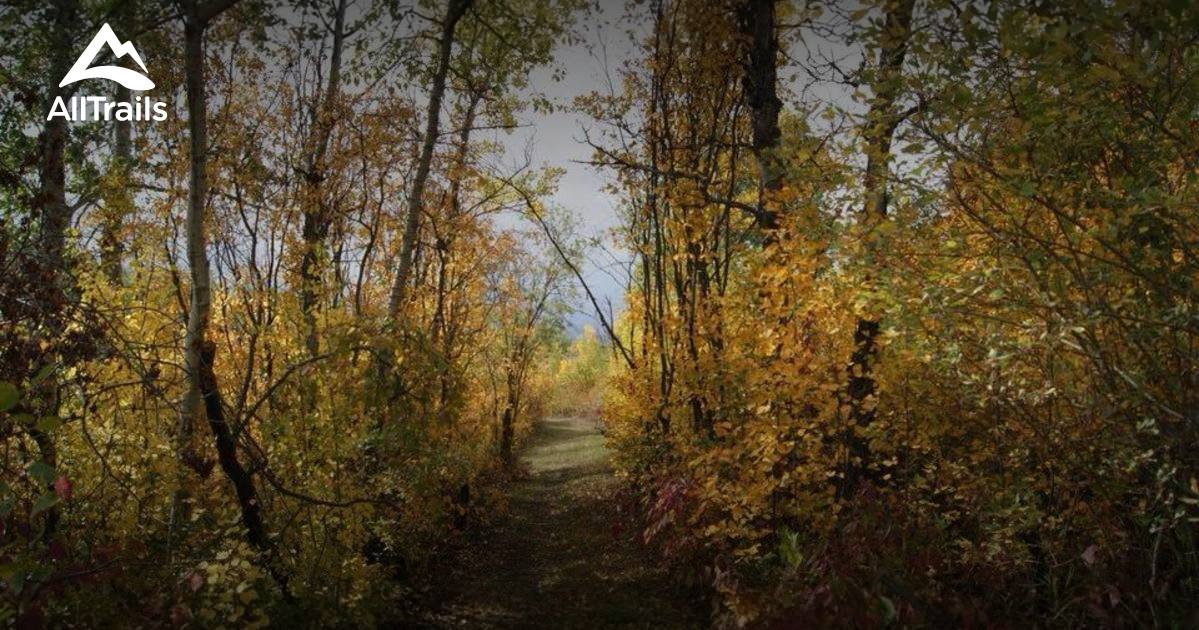 Best hikes and trails in Wynyard | AllTrails