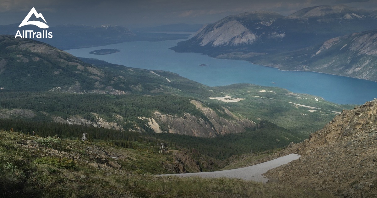 10 Best trails and hikes in Carcross | AllTrails