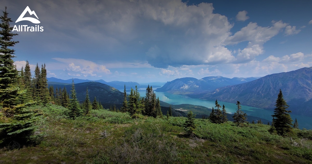 Best wildflower trails in Conrad | AllTrails