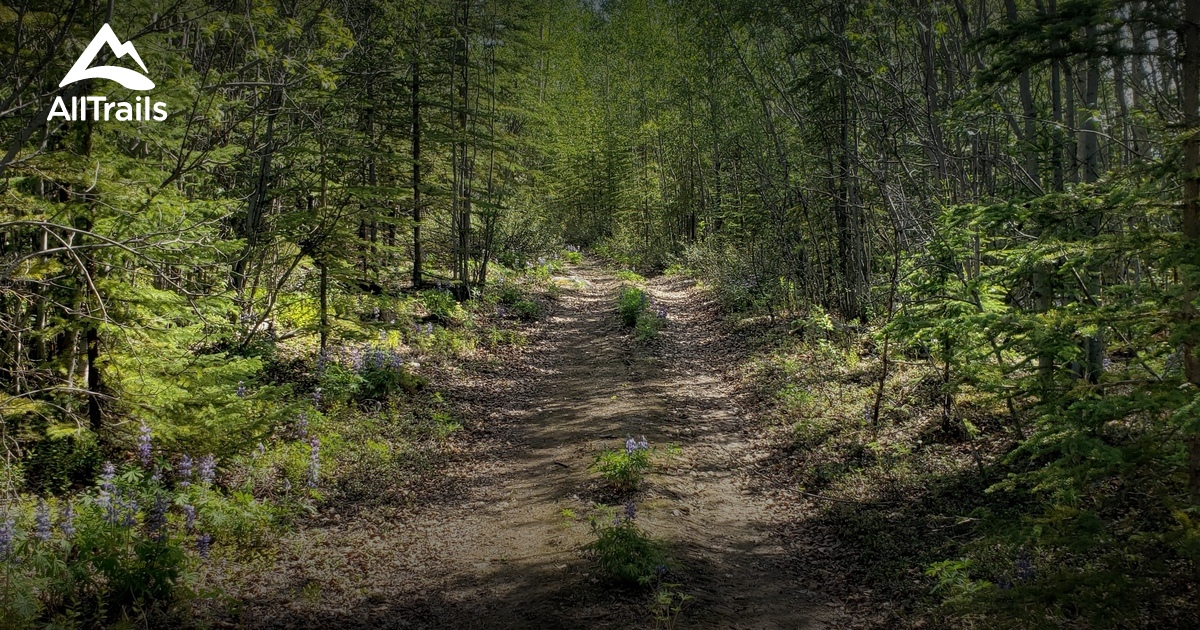 Best hikes and trails in Faro | AllTrails