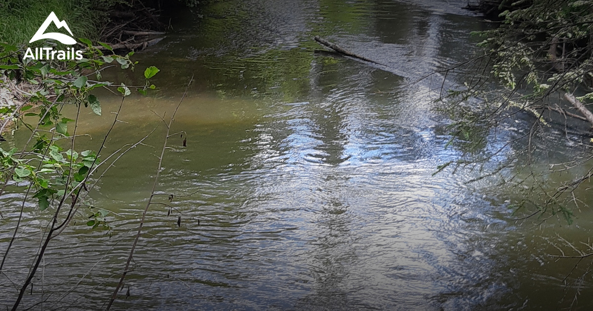 Best hikes and trails in Mayo | AllTrails