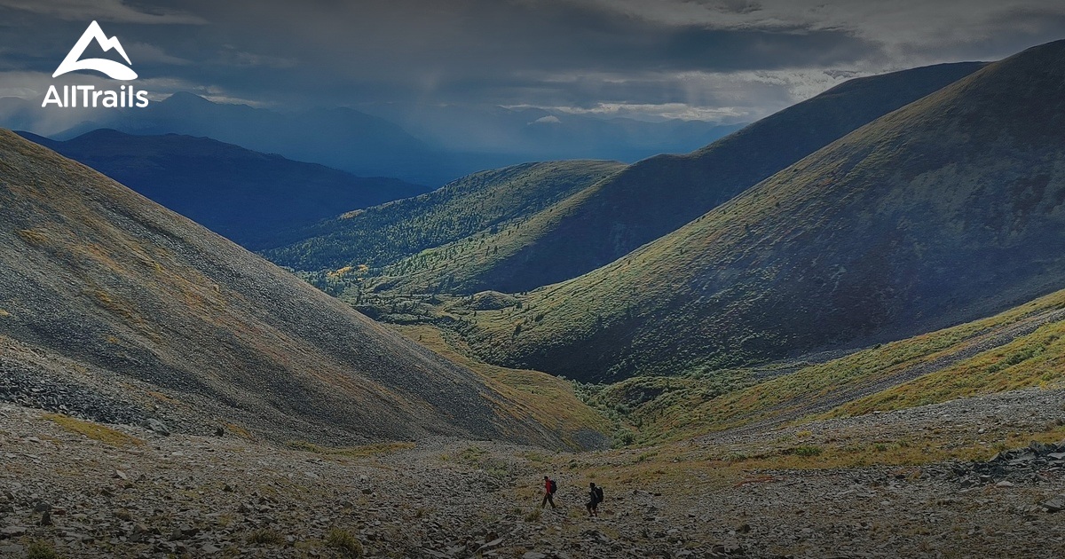 Best forest trails in Mt. Lorne | AllTrails