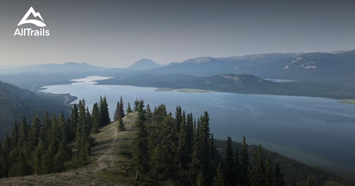 Best hikes and trails in Tagish | AllTrails