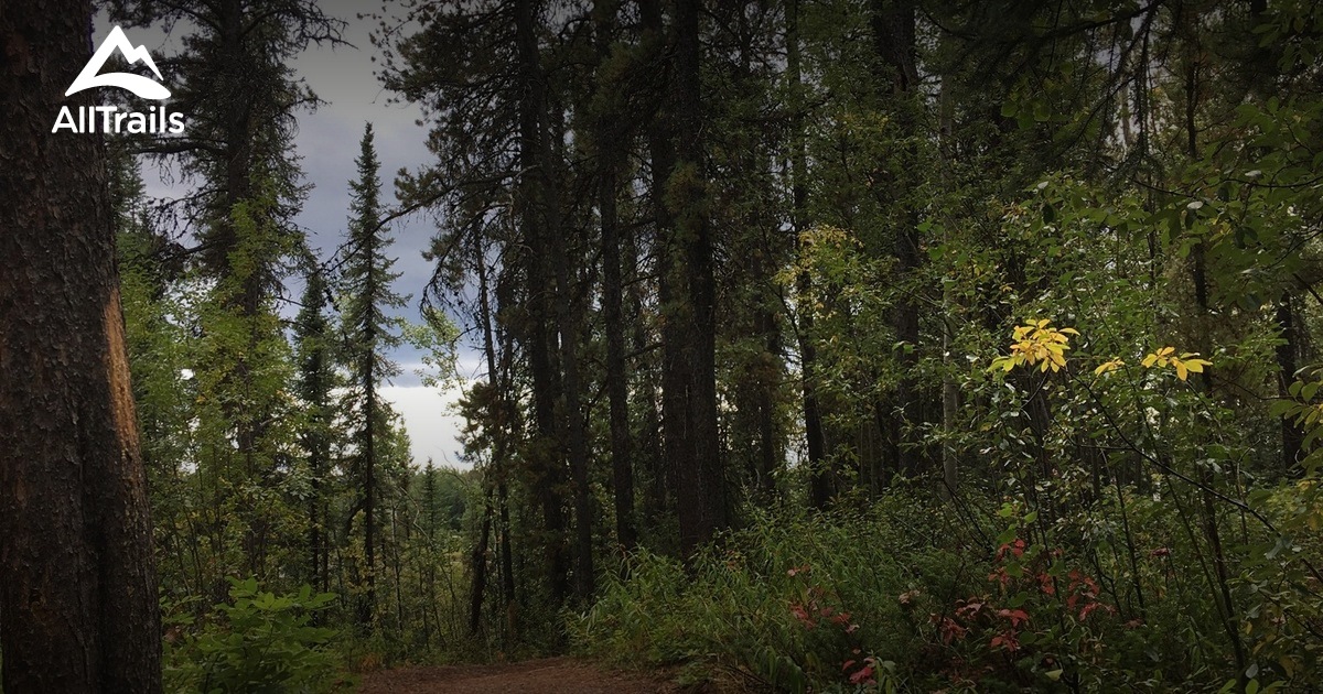 Best hikes and trails in Watson Lake | AllTrails