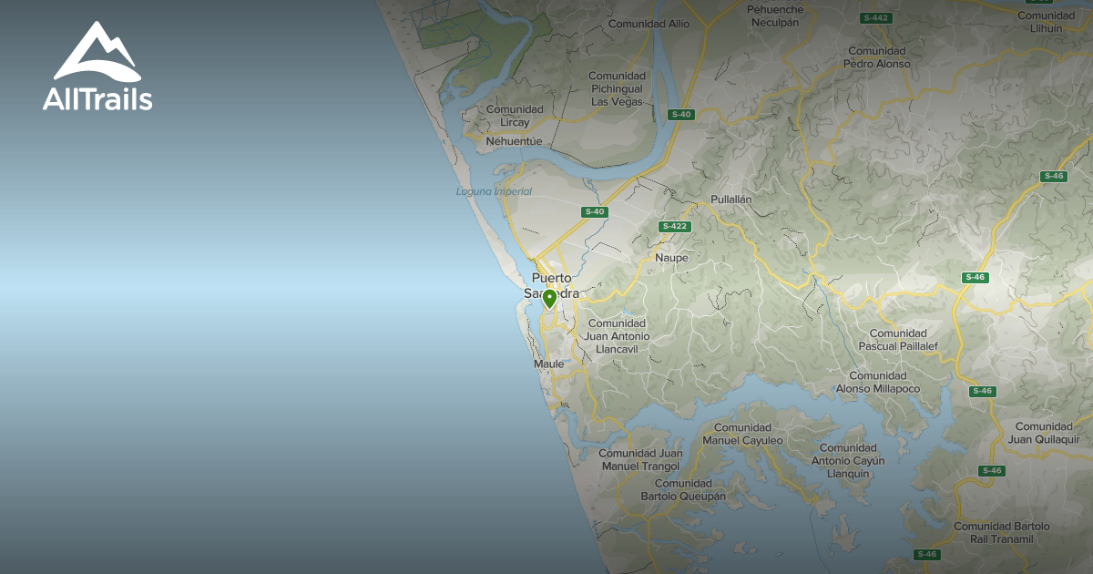 Los mejores senderos por bosque en Saavedra | AllTrails