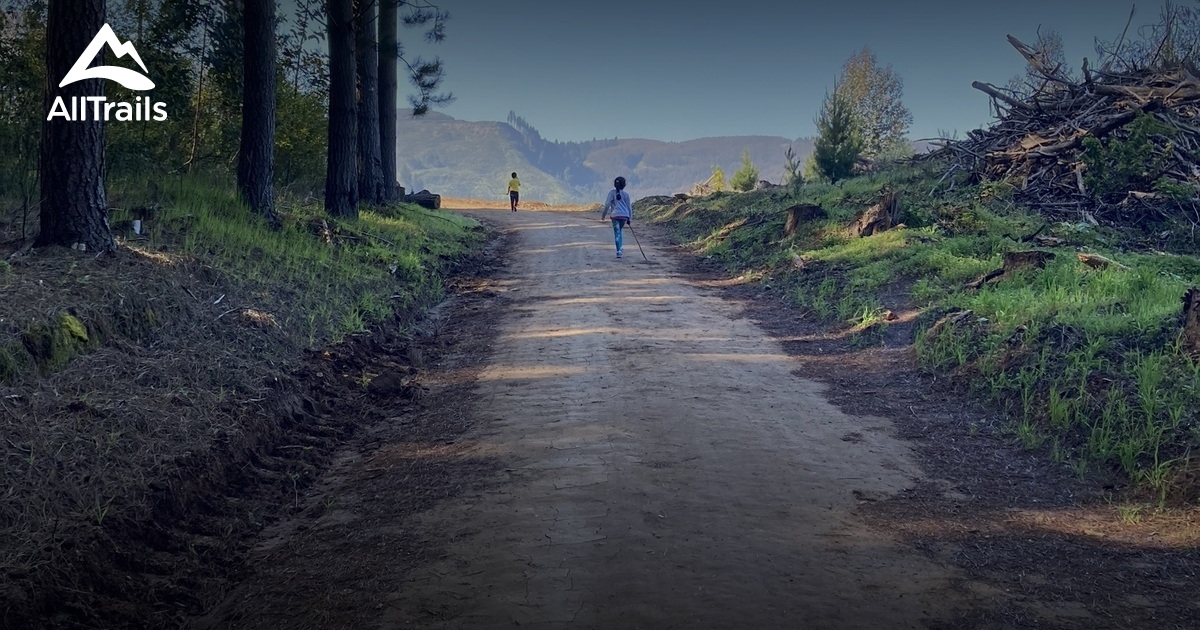 Los mejores senderos y rutas en Coronel | AllTrails