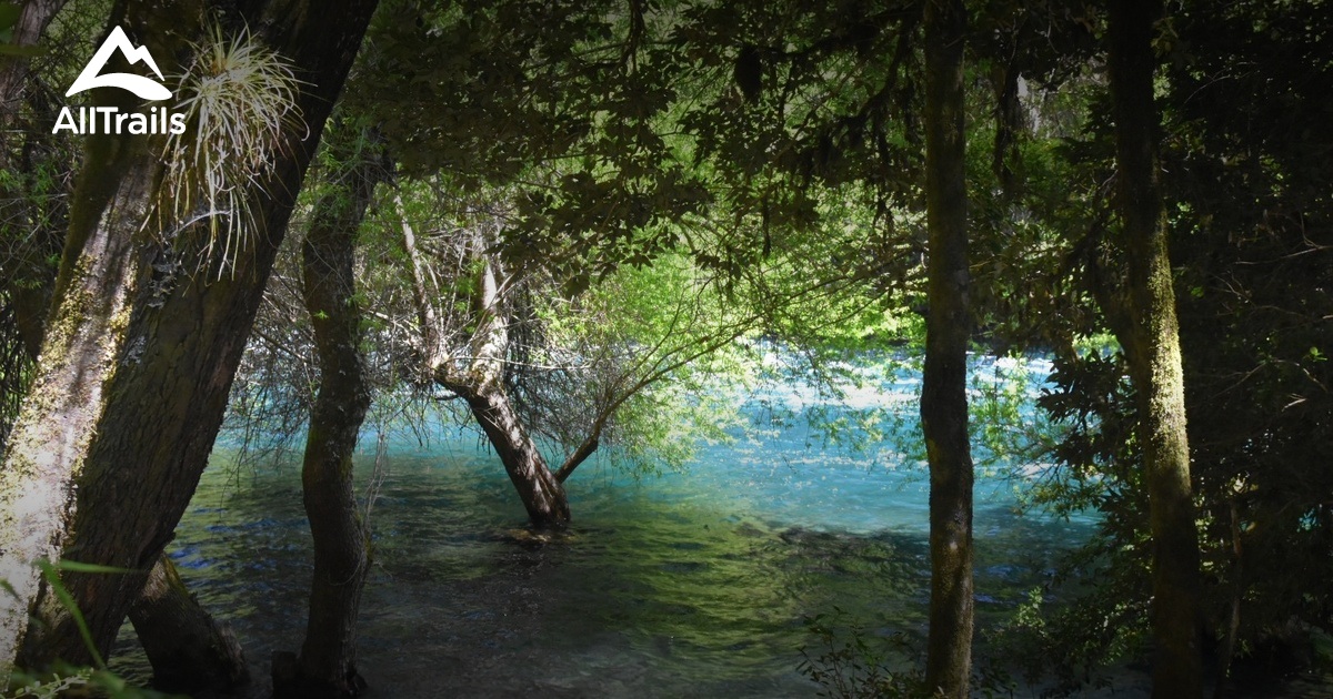 Los 10 mejores senderos y rutas en Panguipulli | AllTrails