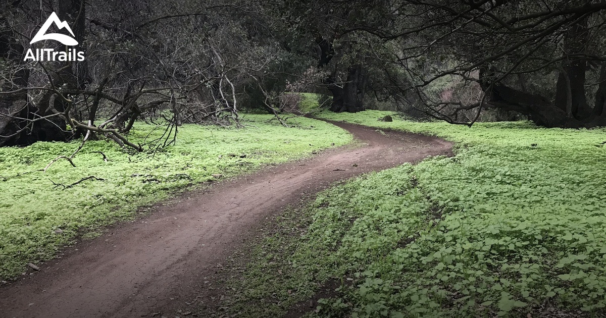Los mejores senderos y rutas en Chicureo | AllTrails