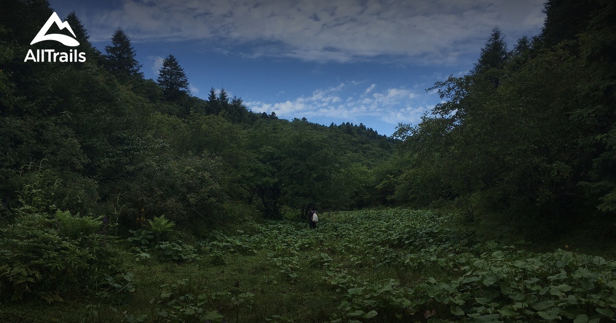 Best hikes and trails in Hanzhong | AllTrails