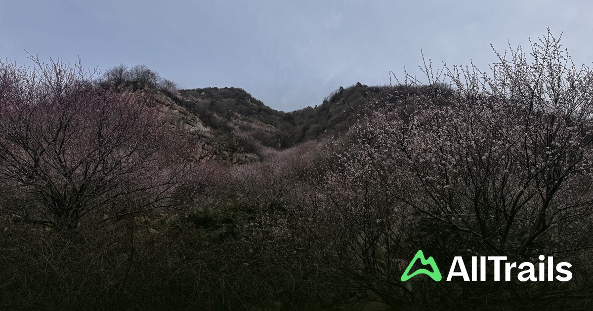 Bedste korte ruter i Xi'an | AllTrails