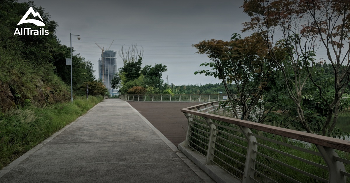 Best hikes and trails in Chengdu | AllTrails