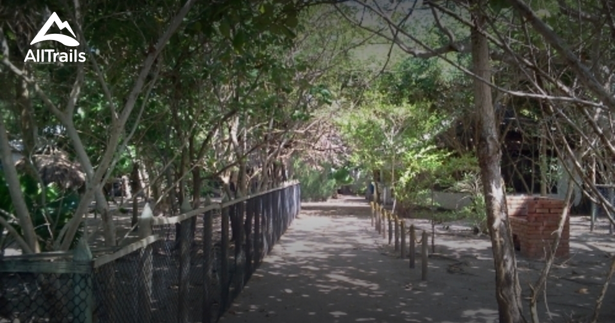 Best beach trails in Orika | AllTrails