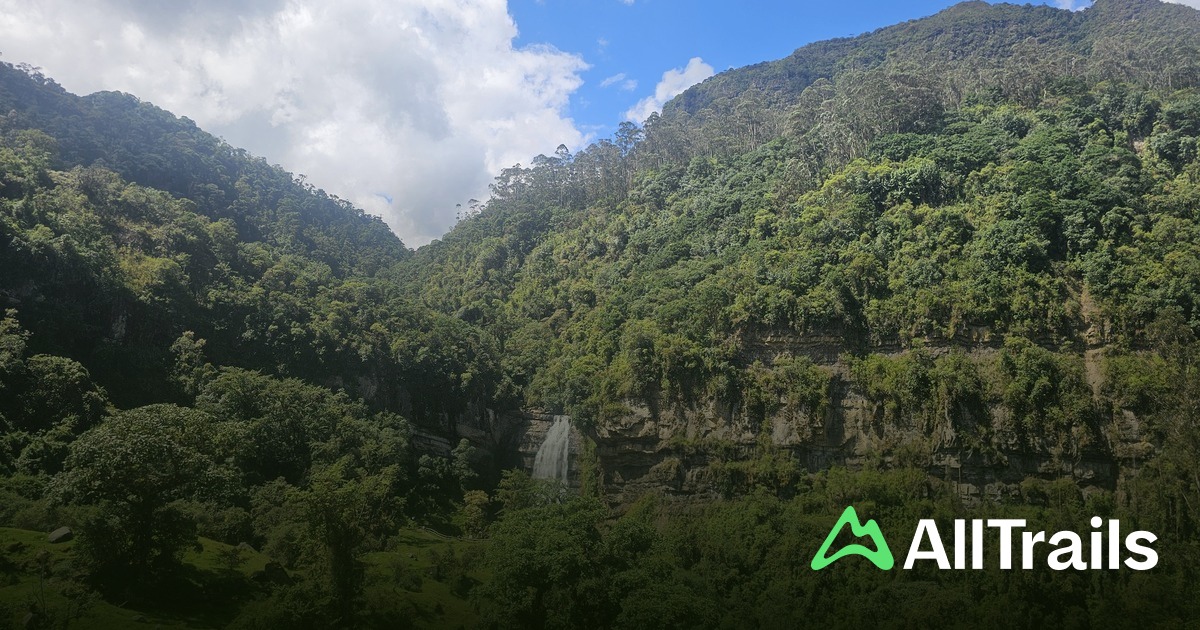 Best hikes and trails in Junín | AllTrails