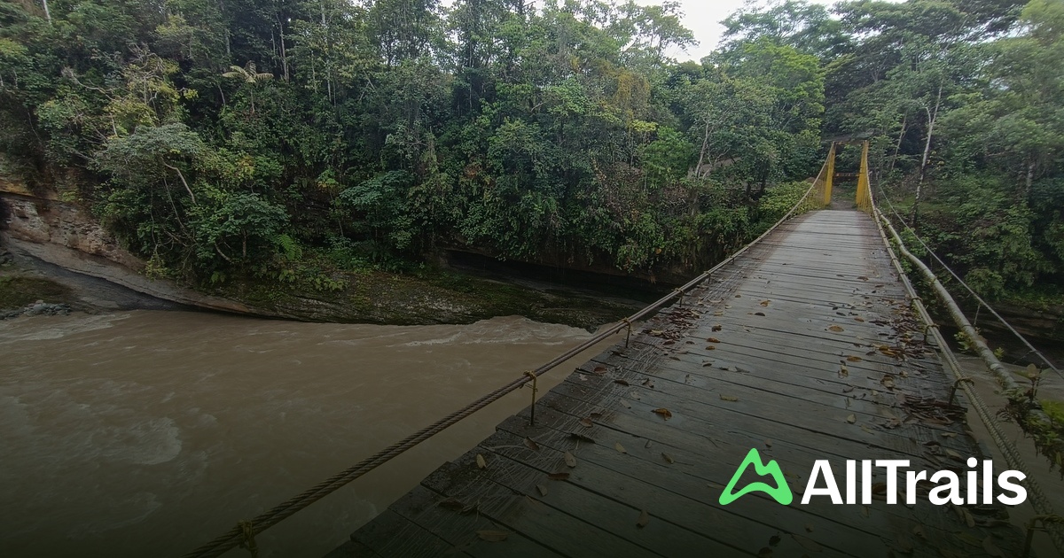 Best forest trails in Mocoa | AllTrails