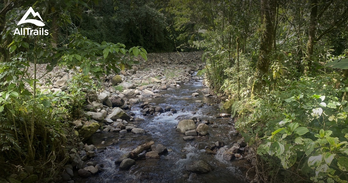 Best Trails, Walks, and Paths in Zarcero | AllTrails