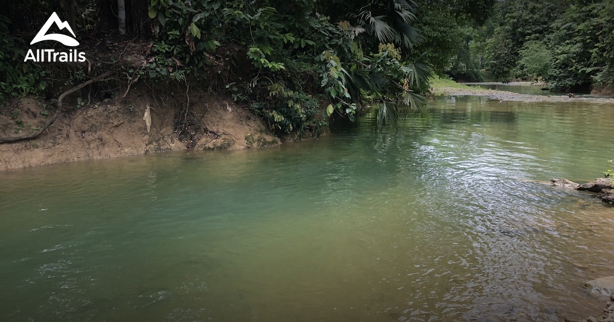 De beste lange routes in Puerto Limón | AllTrails