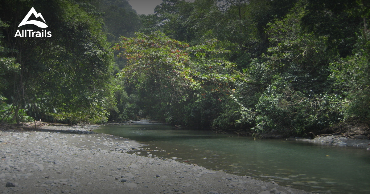 Los 10 mejores senderos y rutas en Golfito | AllTrails