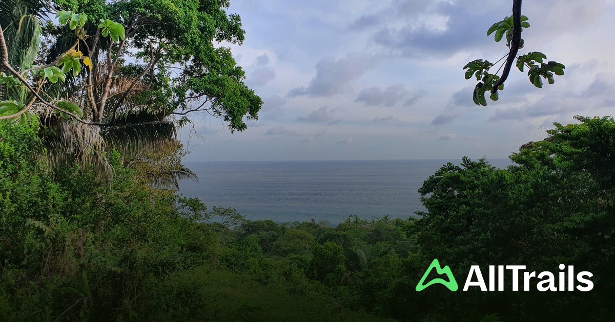 Best forest trails in Puerto Jiménez | AllTrails