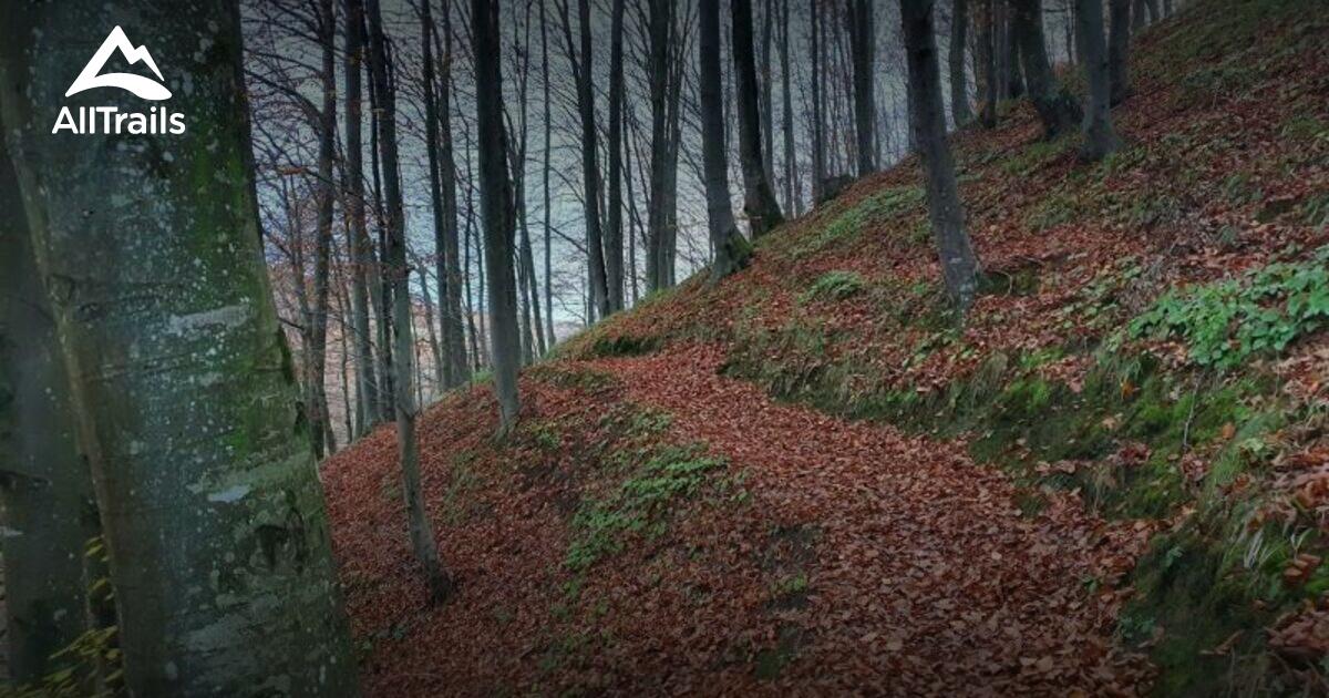 Los mejores senderos aptos para niños en Sibinj | AllTrails