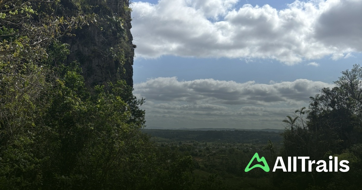 Best trail running trails in Viñales | AllTrails