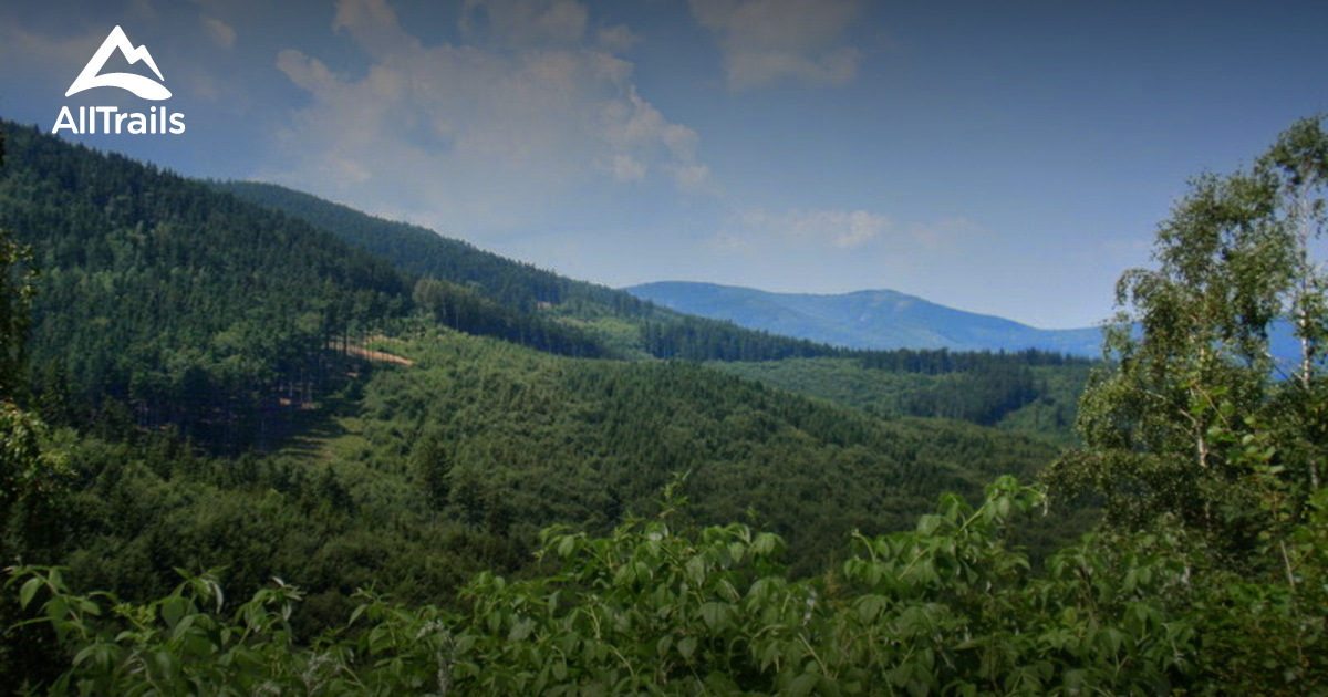 Best hikes and trails in Jeseník | AllTrails