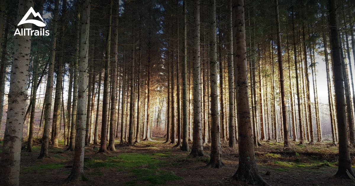 Best mountain biking trails in Holte | AllTrails