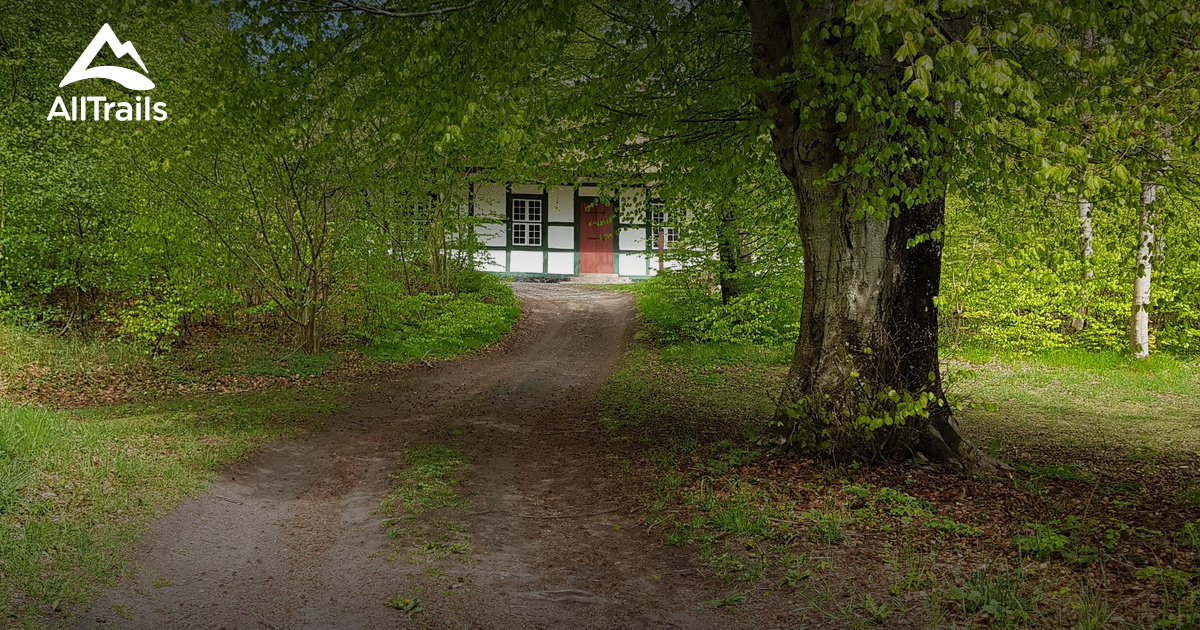 Los mejores senderos para perros con correa en Østby | AllTrails