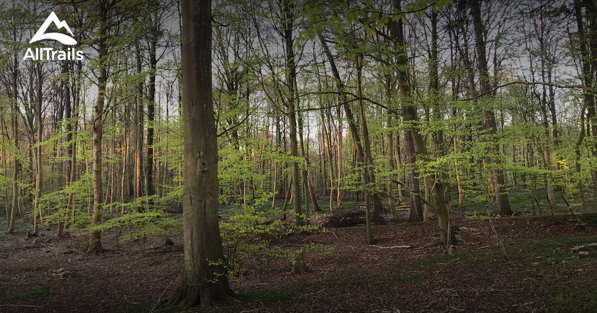 Best short trails in Uggeløse | AllTrails