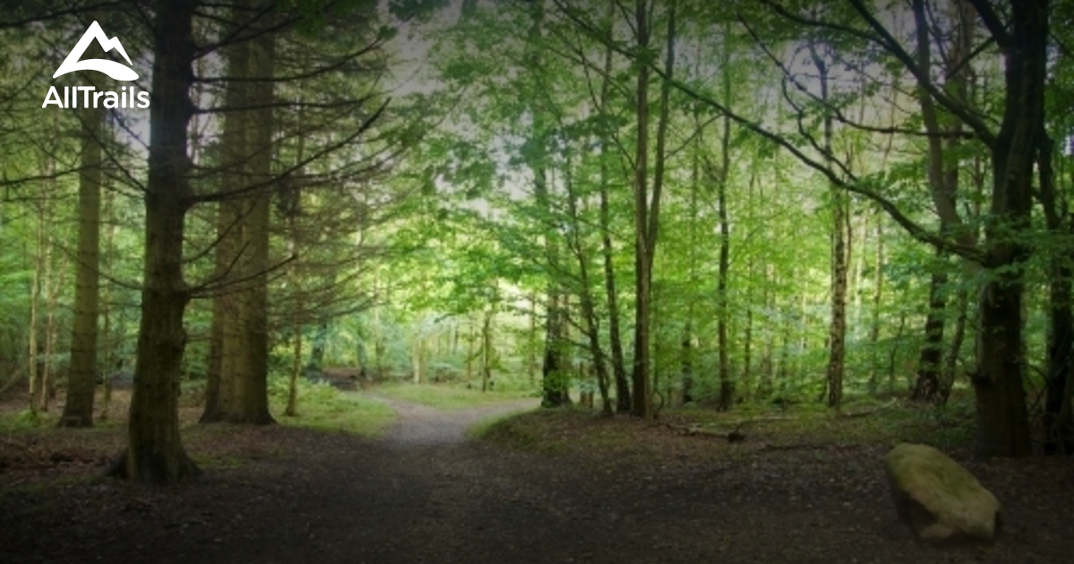 Best lake trails in Vedbæk | AllTrails