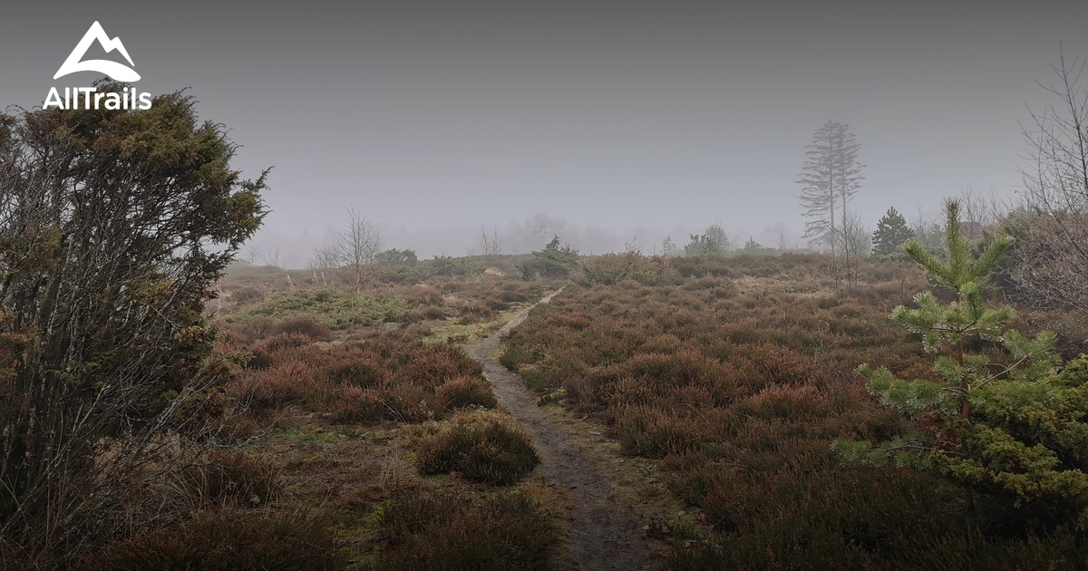 Best hikes and trails in Aulum | AllTrails