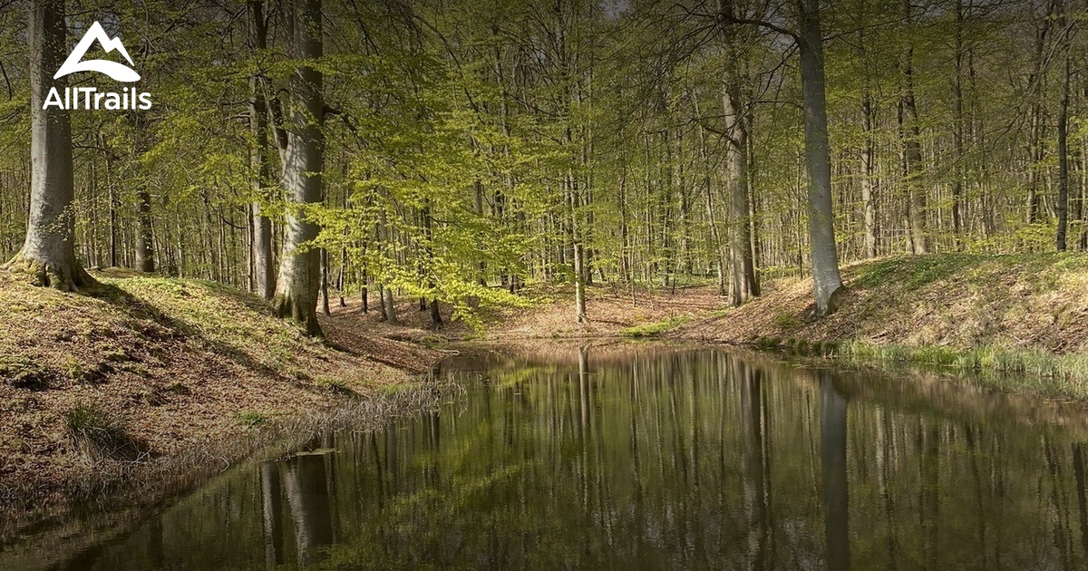 Best camping trails in Barrit | AllTrails