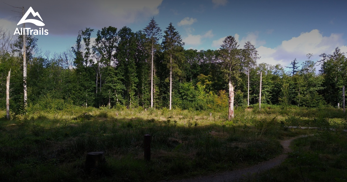 Best camping trails in Beder | AllTrails