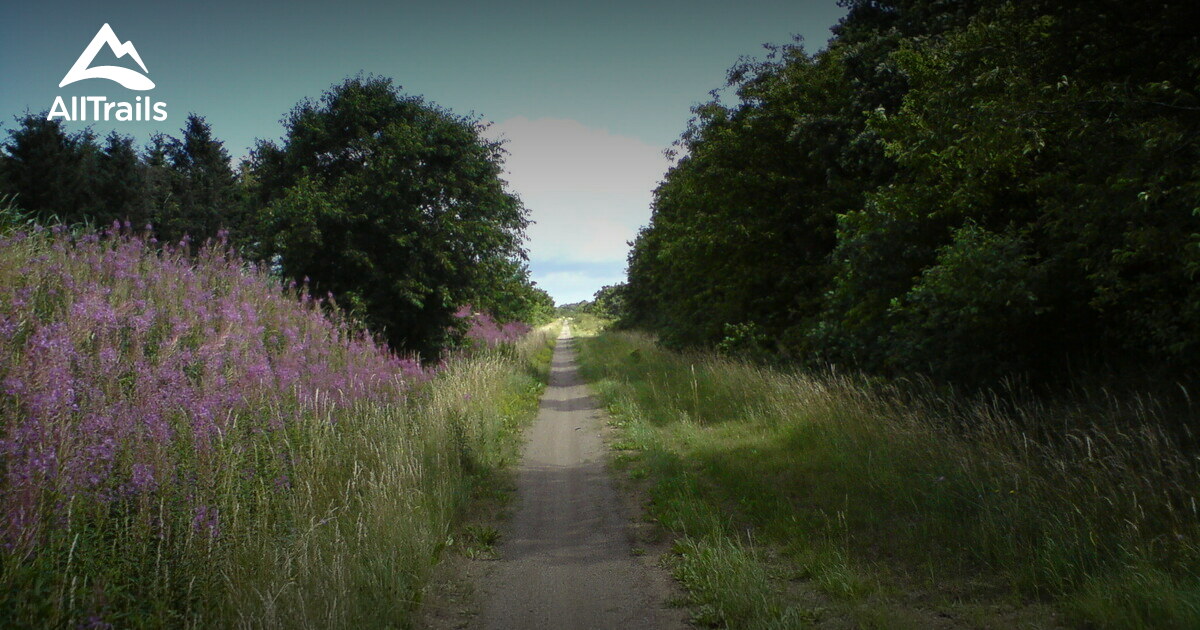 10 Best trails and hikes in Brande | AllTrails