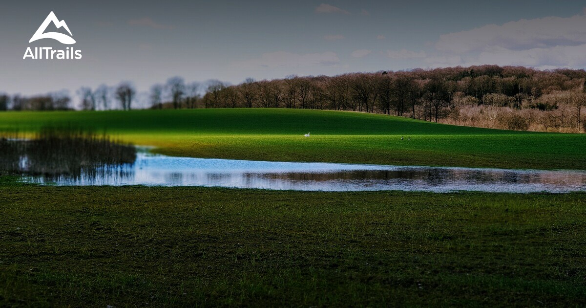 10 Best walking trails in Galten | AllTrails