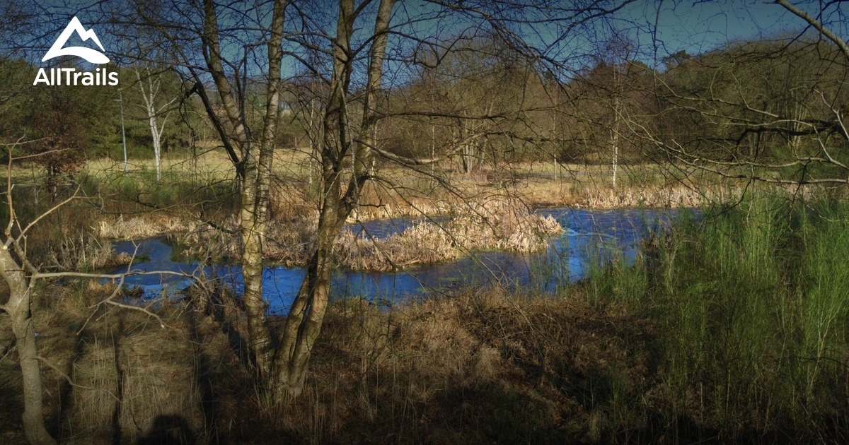 Best hikes and trails in Glyngøre | AllTrails