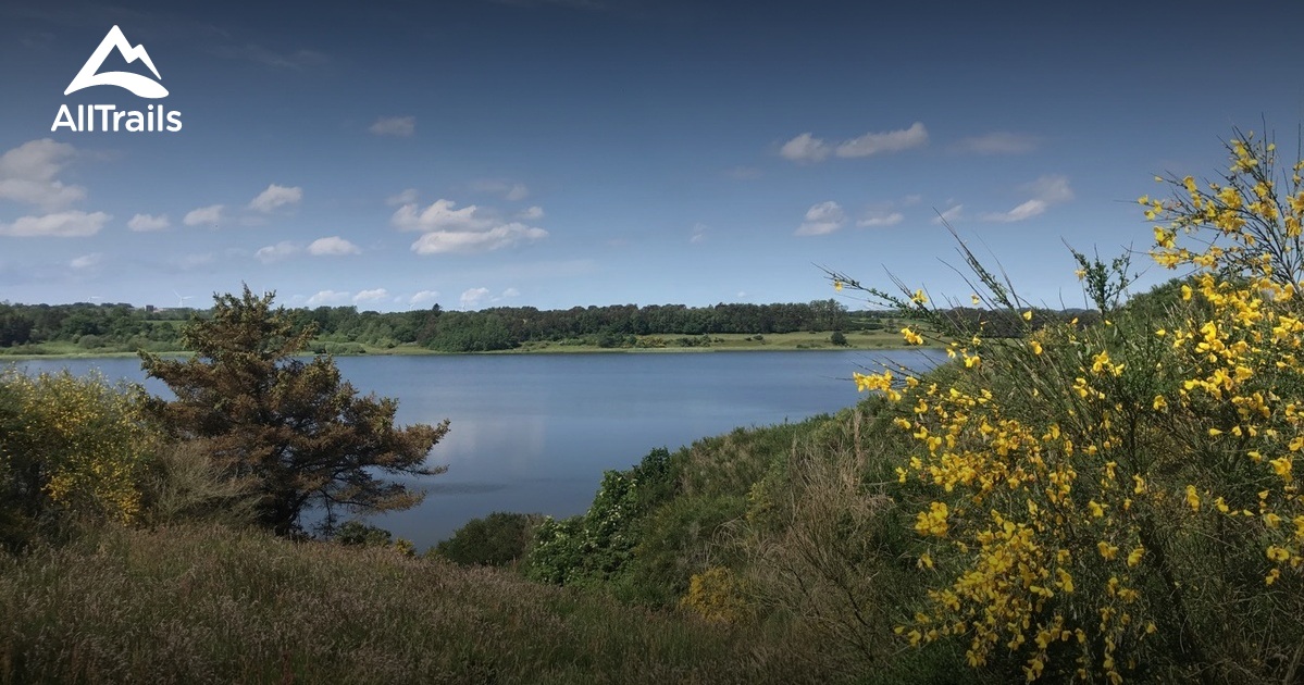 Haderup: as dez melhores trilhas na floresta | AllTrails