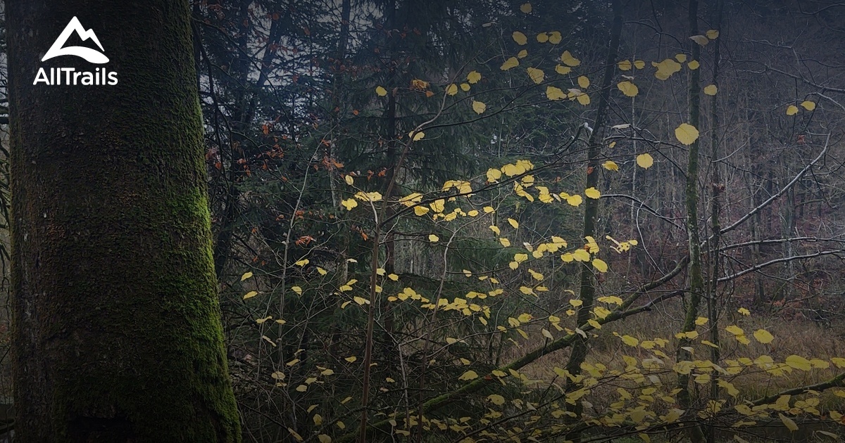 Best hikes and trails in Klovborg | AllTrails