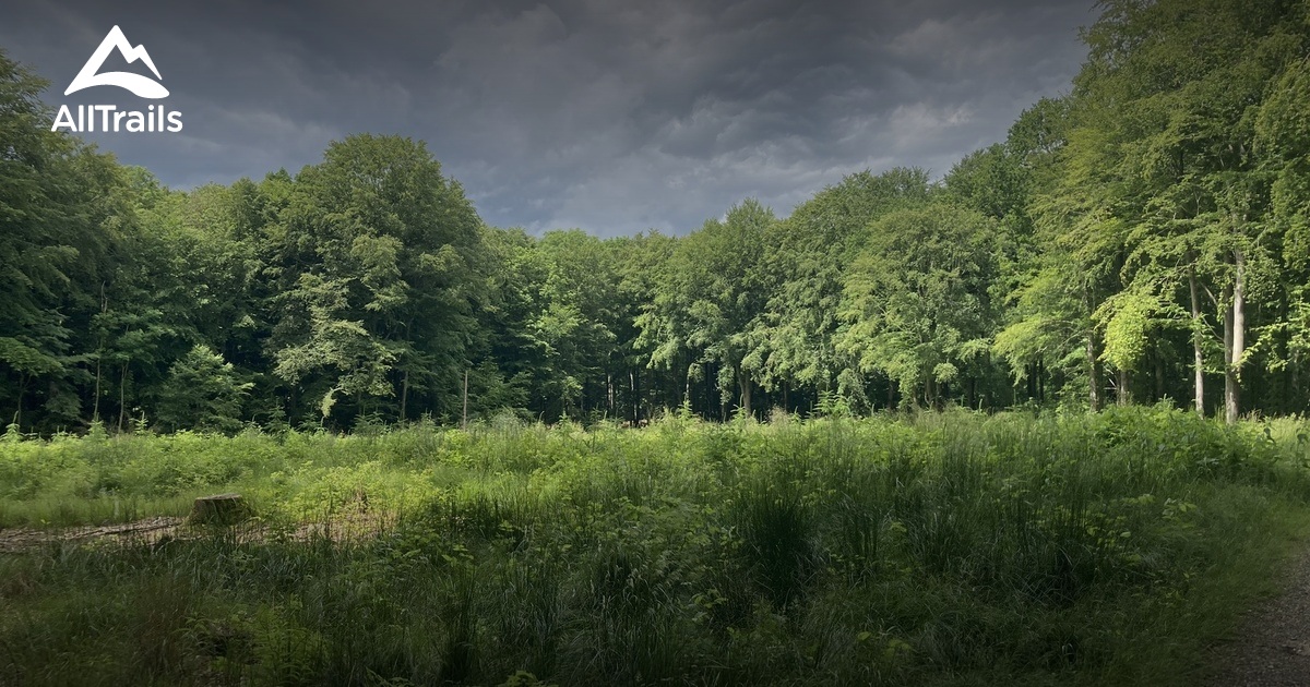 Best hikes and trails in Malling | AllTrails