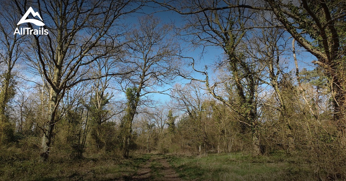 10 Best trails and hikes in Odder | AllTrails