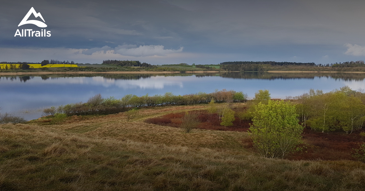 10 Best trails and hikes in Skive | AllTrails