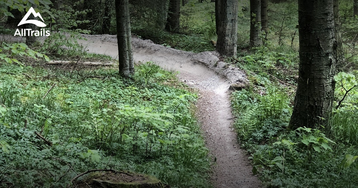 Best long trails in Skjold | AllTrails