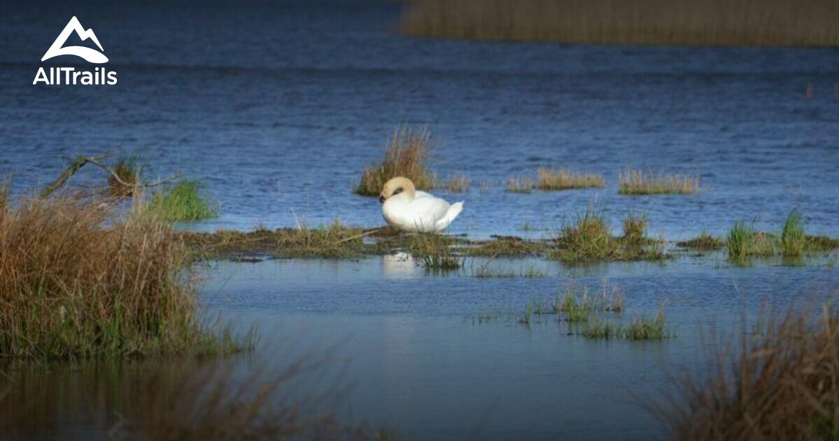 Best camping trails in Tarm | AllTrails