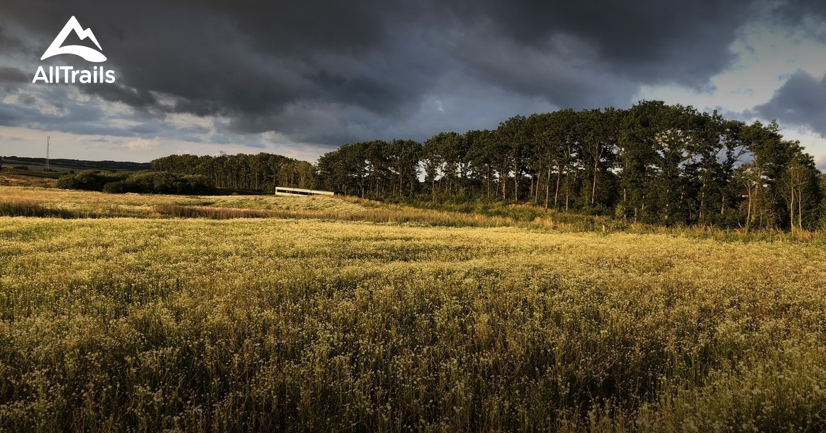 10 Best trails and hikes in Tilst | AllTrails