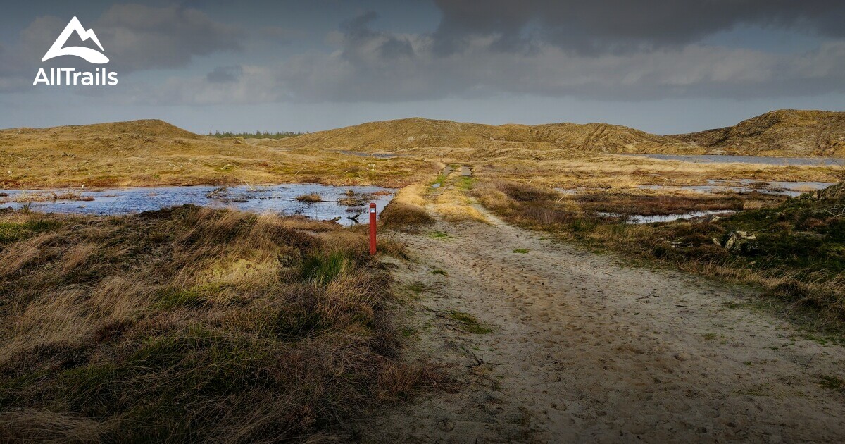 Best Trails, Walks, and Paths in Ulfborg | AllTrails